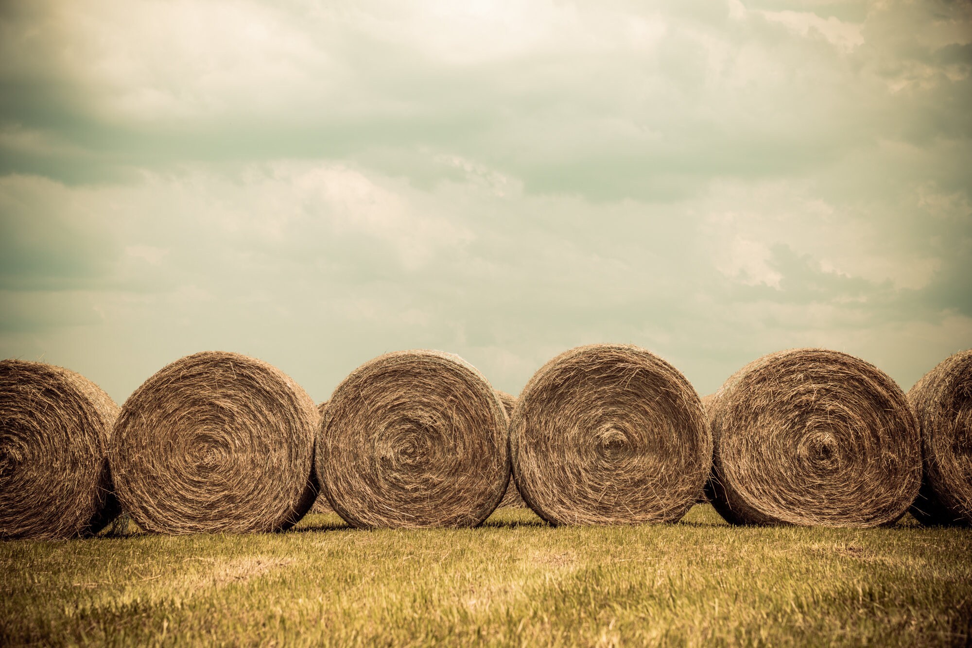 Rollin...hay Field Photography, Hay Bale Photography, Farm Photography ...