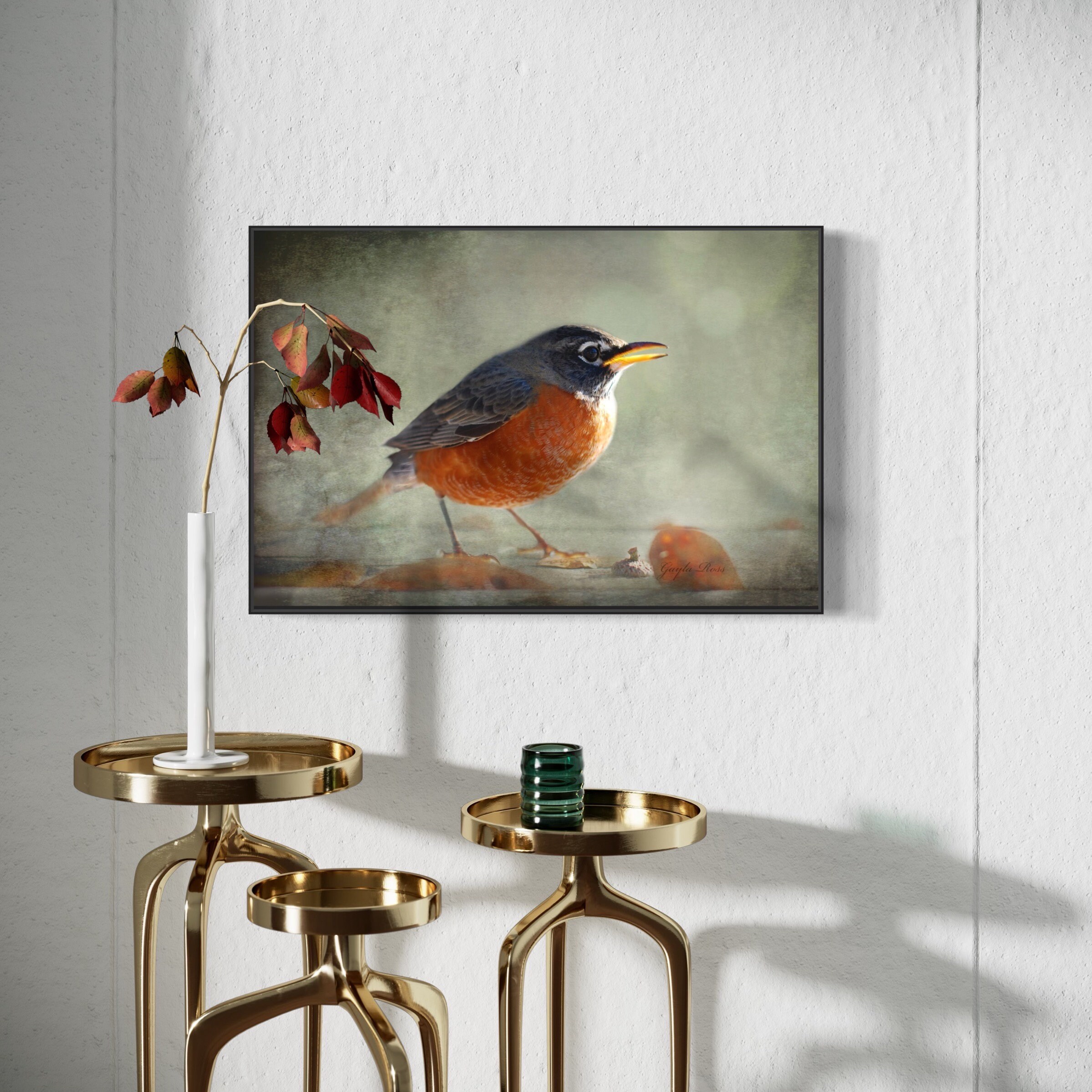 Robin Bird Photography,nature Photography,wildlife Photography,bird ...