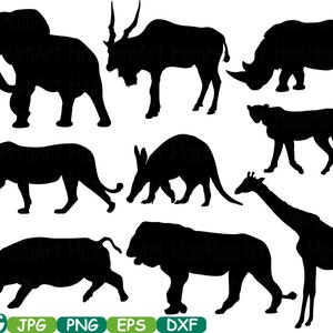 Safari Animals Cutting Files SVG Monogram Silhouette School | Etsy