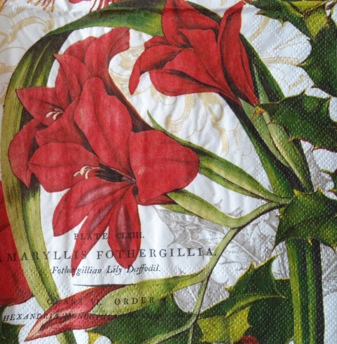 4 Decoupage Luncheon Napkins Red Lily Flowers Green Leaves Red Berries ...