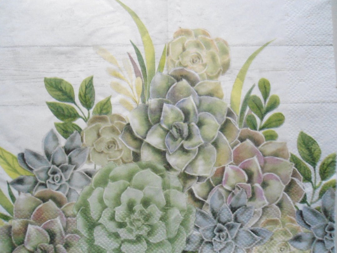 4 Decoupage Dinner Napkins Succulents Cactus Green Purple Cacti Guest ...
