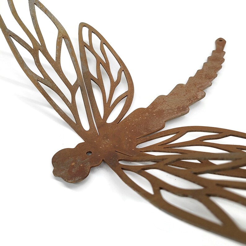 Dragonfly Rustic and Powder Coated Steel Wall Art Decor 11 | Etsy