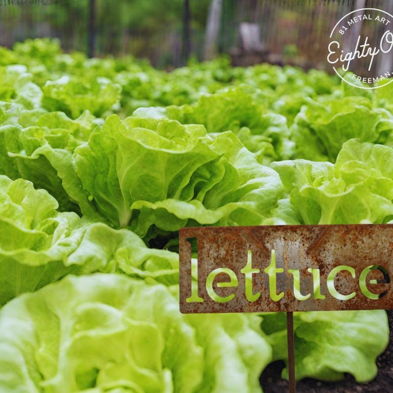 Metal Garden Art Table - Etsy