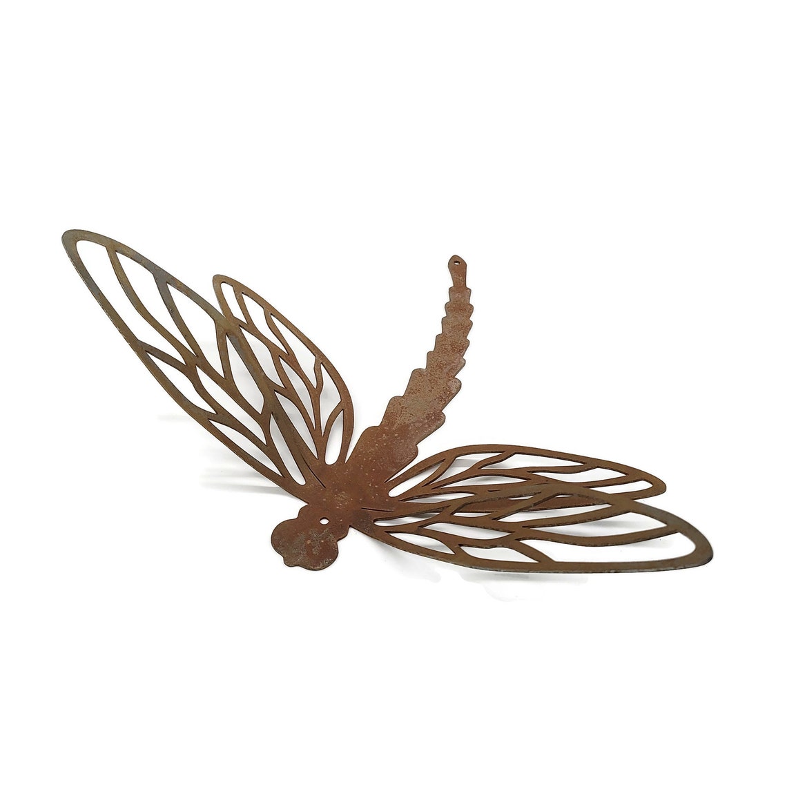 Dragonfly Rustic and Powder Coated Steel Wall Art Decor 11 | Etsy