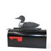 Loon Metal Steel Powder Coated Mailbox Topper 7 Inches Tall Does Not ...