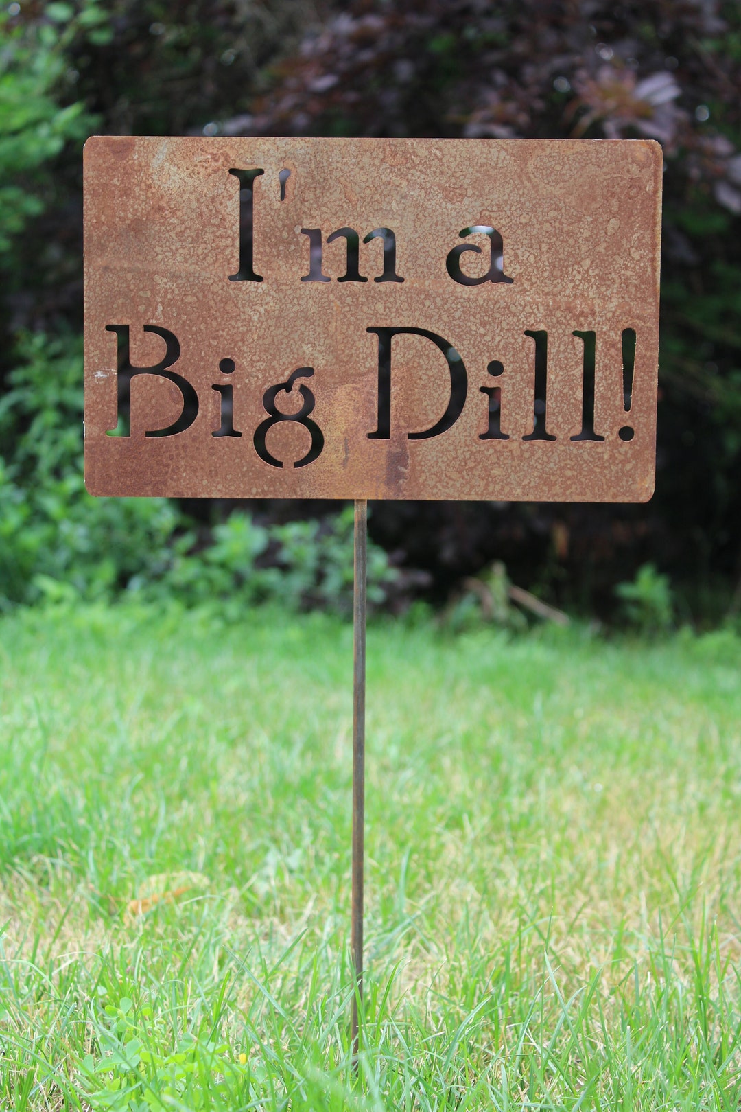 I'm a Big Dill! Metal Garden Stake Sign 20 to 48 Inches Tall - Etsy