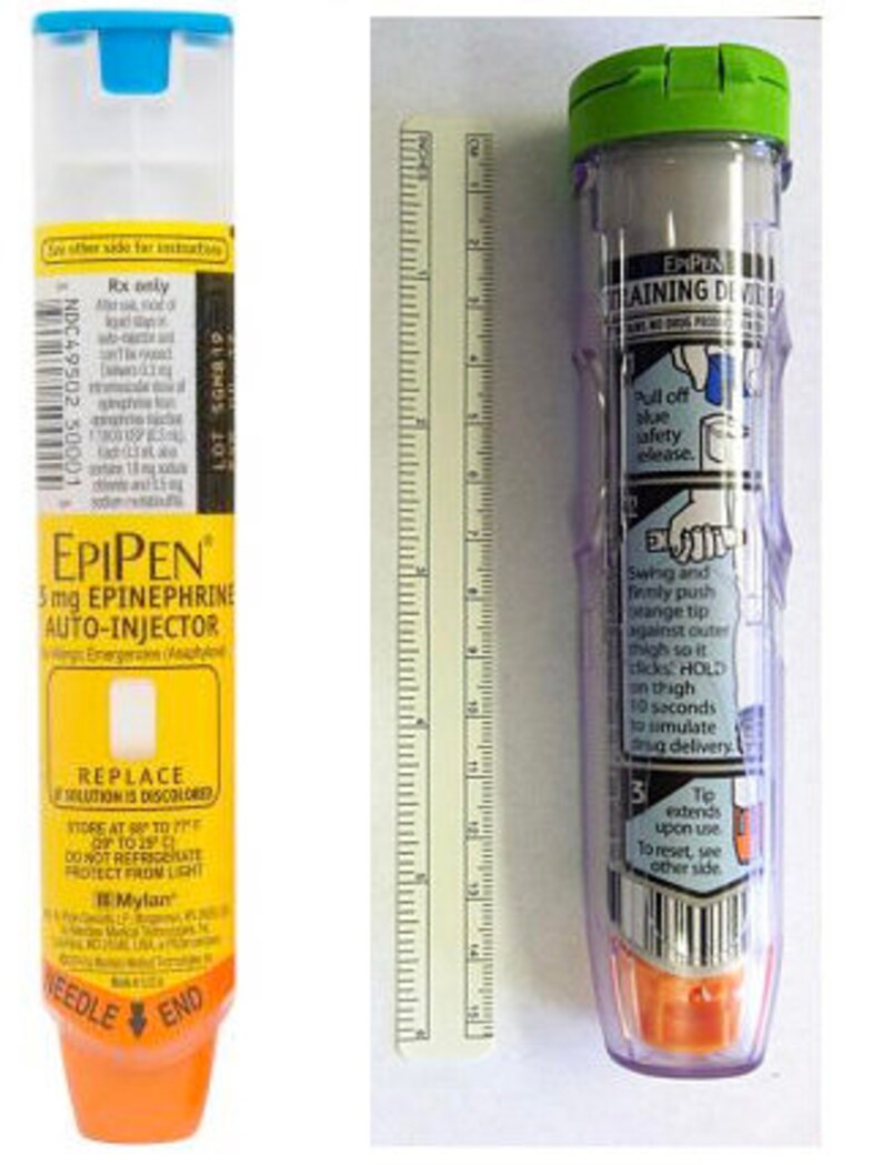 8" X 2" Single Epipen Pouch, Super SKINNY Insulin Pen Case, Tula Pink ...