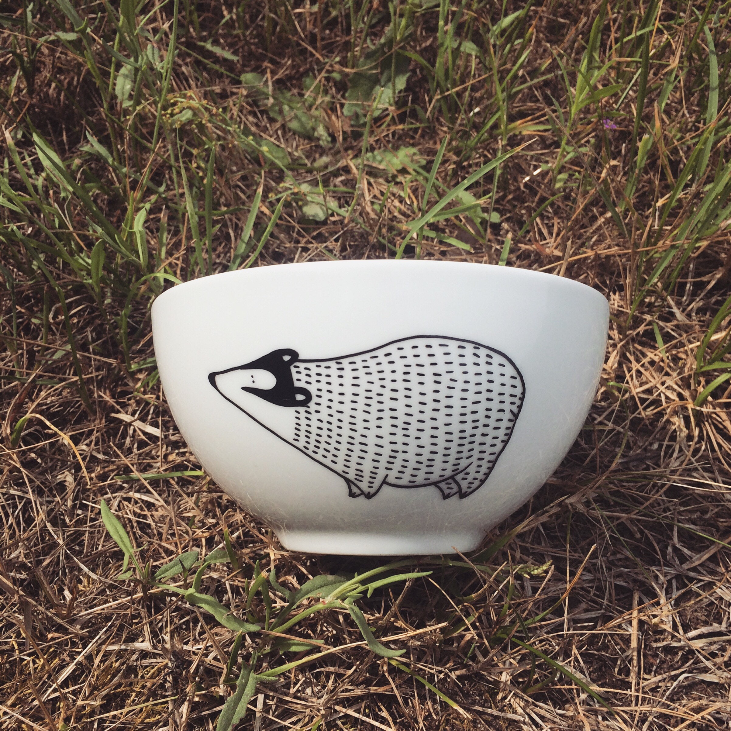 Badger Bowl Hand Painted Woodland Dish Quirky Wild Animal - Etsy UK