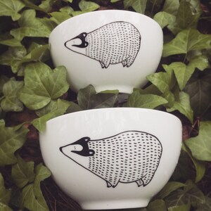 Badger Bowl - Hand Painted Woodland Dish Quirky Wild Animal Funny Cute ...