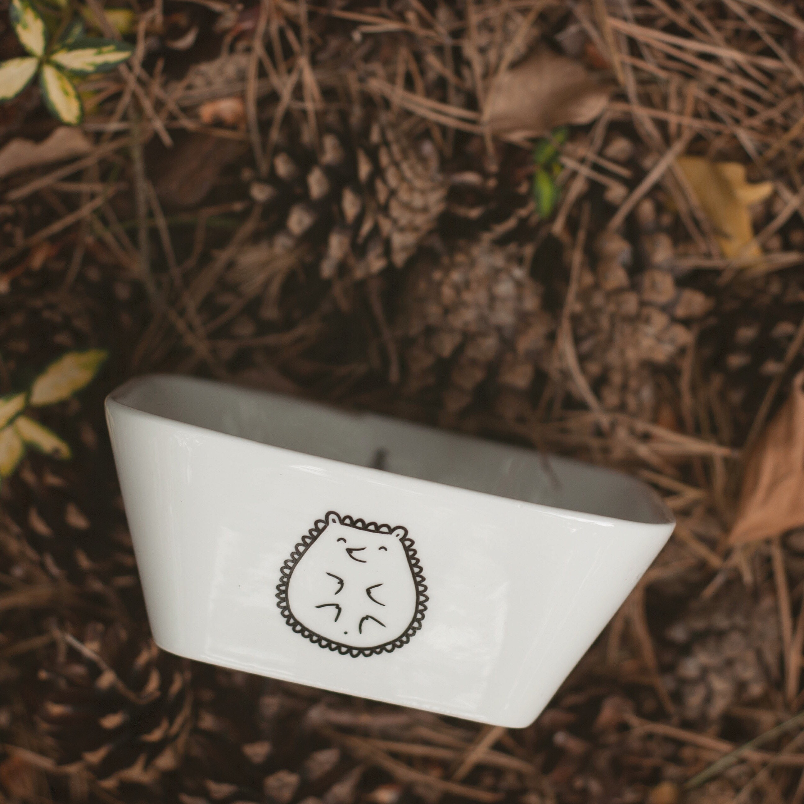 Hedgehog Bowl - Hand-painted Ceramic Dish, Woodland Porcelain, Pottery ...
