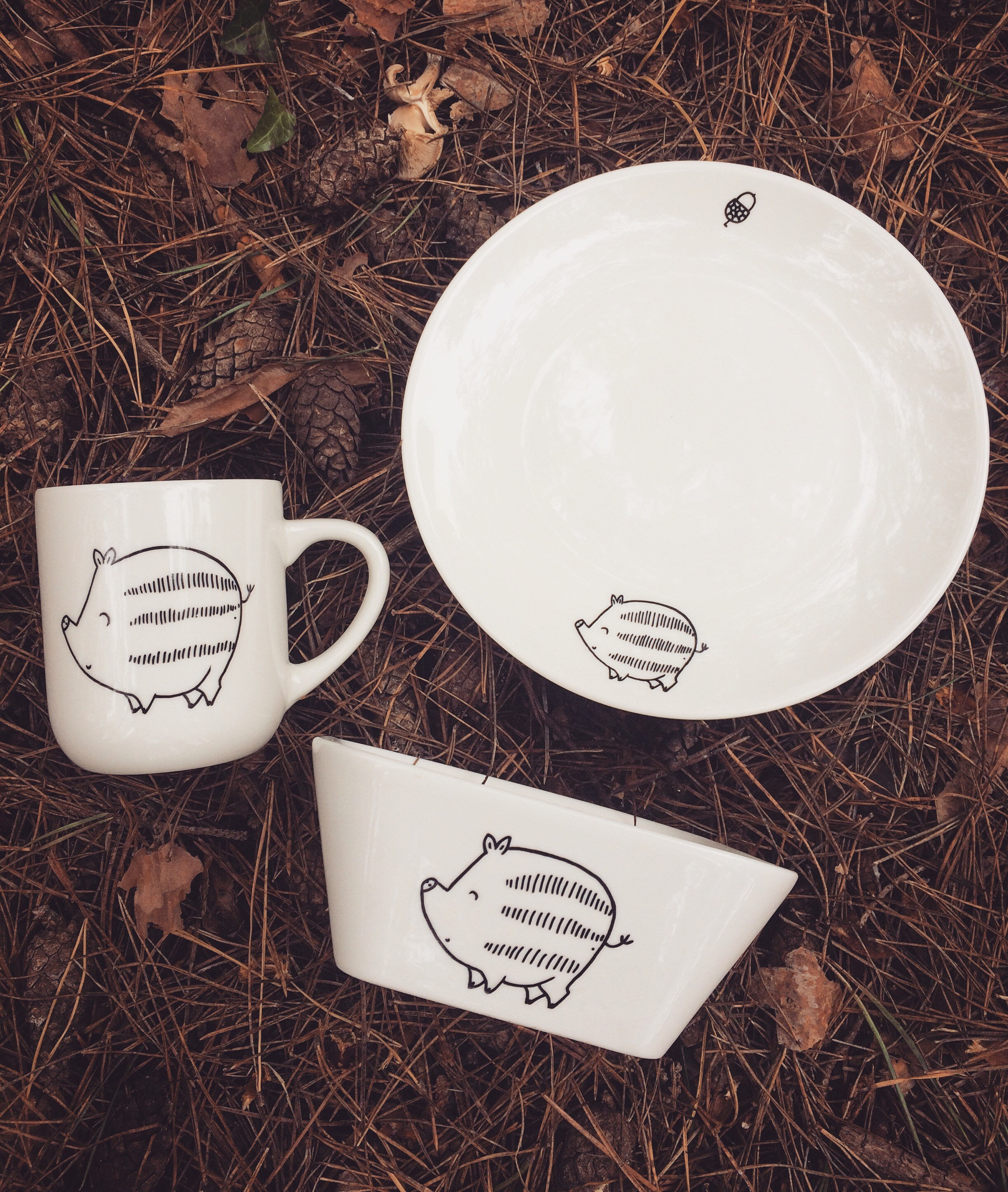 Wild Boar Piglet Set - Mug + Bowl + Plate - Hand Painted Quirky Wild ...