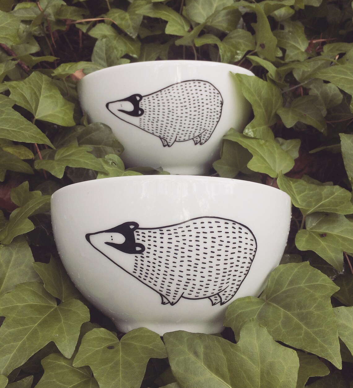 Badger Bowl Hand Painted Woodland Dish Quirky Wild Animal - Etsy UK