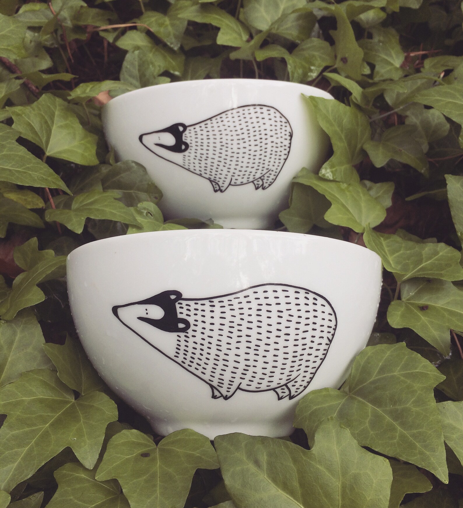 Badger Bowl Hand Painted Woodland Dish Quirky Wild Animal - Etsy UK