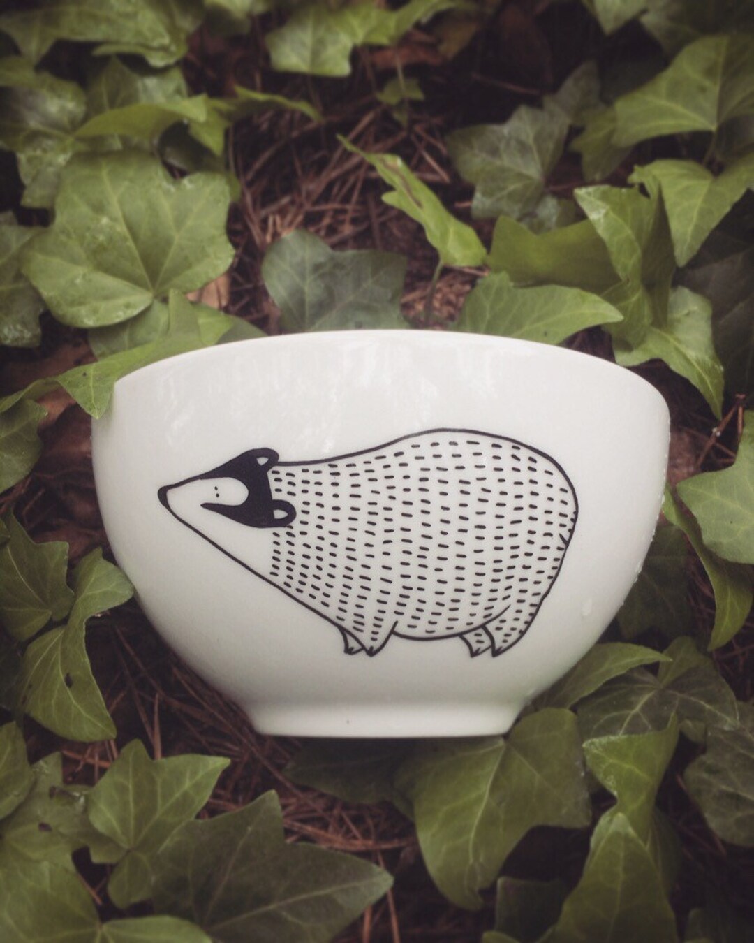Badger Bowl - Hand Painted Woodland Dish Quirky Wild Animal Funny Cute ...