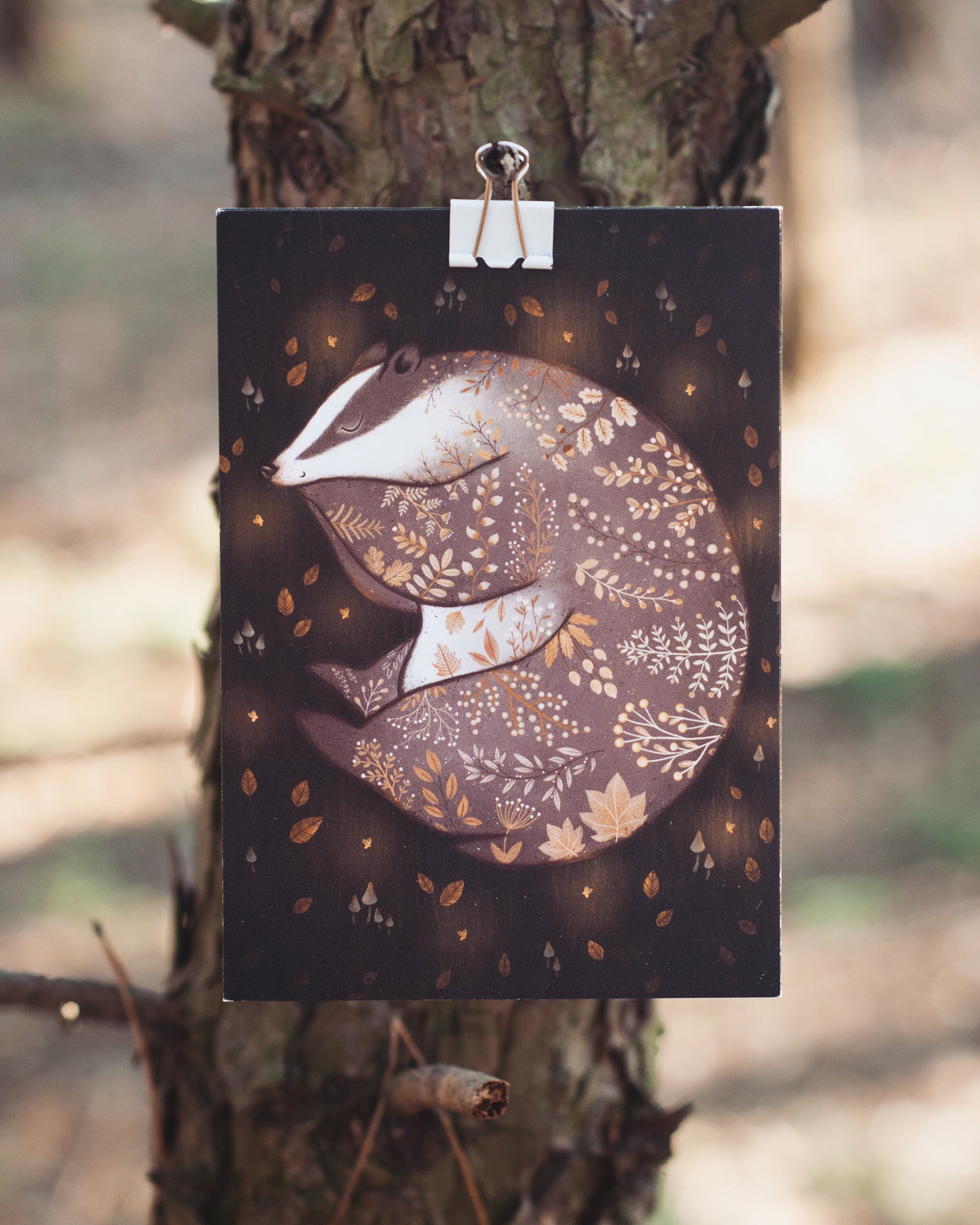 Sleeping Badger Card Woodland Animal Greeting Card Gift - Etsy
