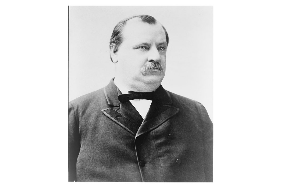 Grover Cleveland - 1880 - Vintage Historical Photo - US President Print ...