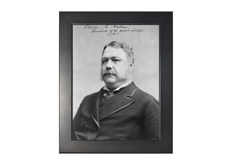 Chester A. Arthur - 1882 - Vintage Historical Photo - US President ...