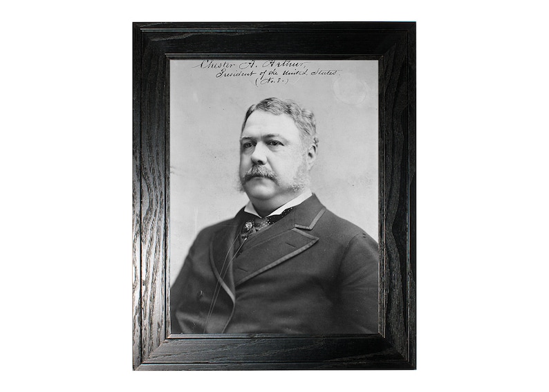 Chester A. Arthur - 1882 - Vintage Historical Photo - US President ...