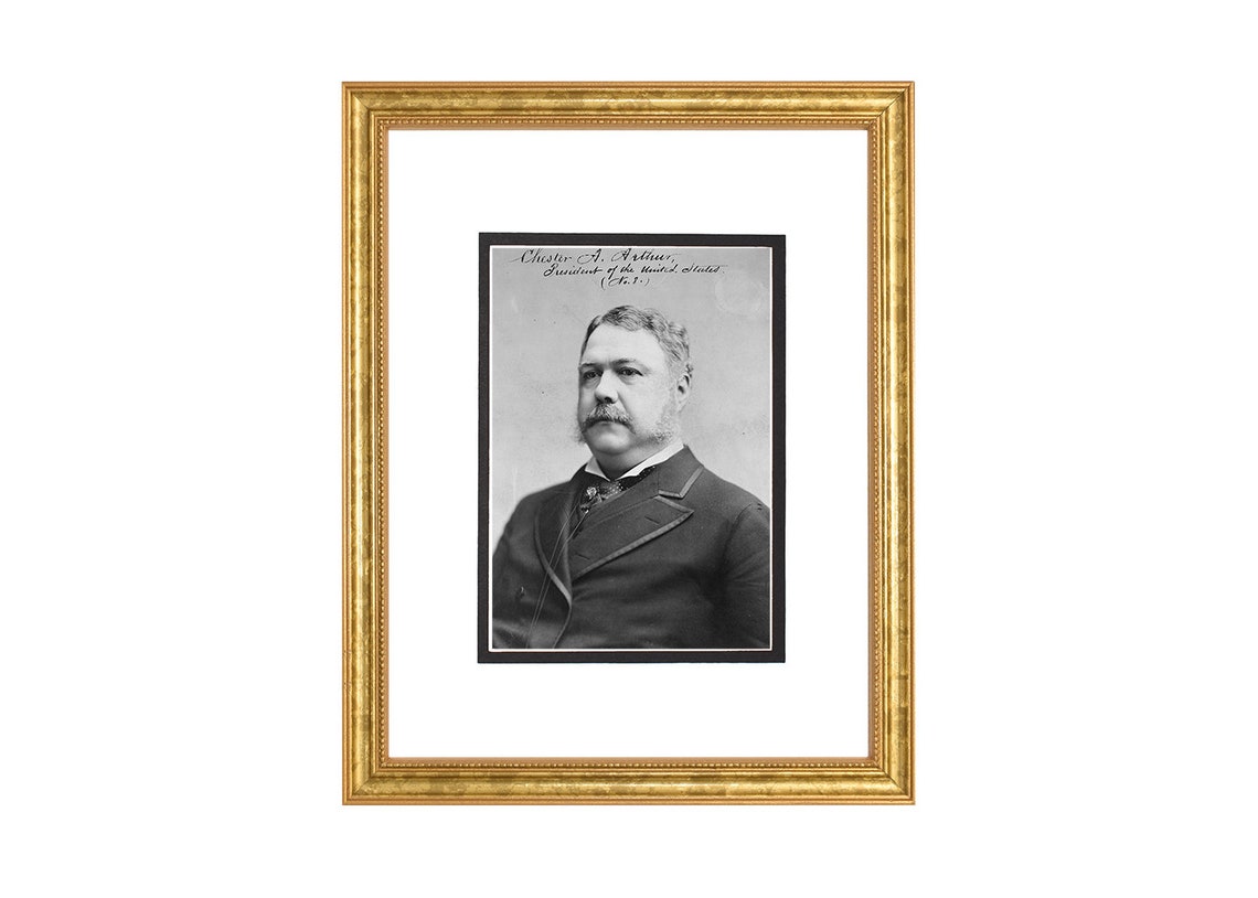 Chester A. Arthur 1882 Vintage Historical Photo US - Etsy