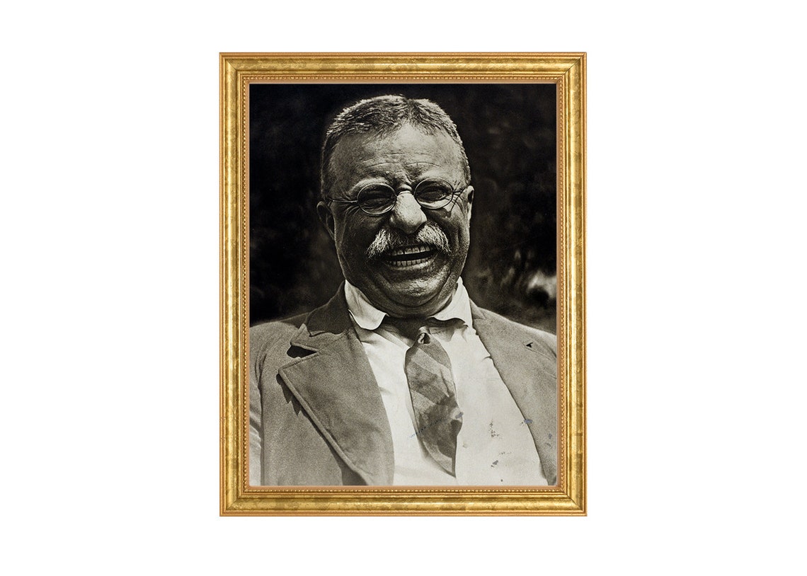 Theodore Roosevelt 1910 Vintage Historical Print | Etsy