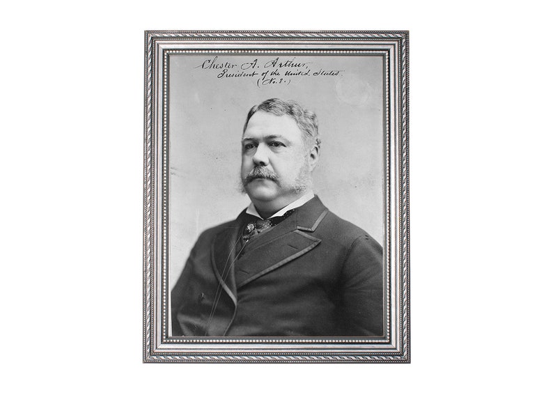 Chester A. Arthur - 1882 - Vintage Historical Photo - US President ...