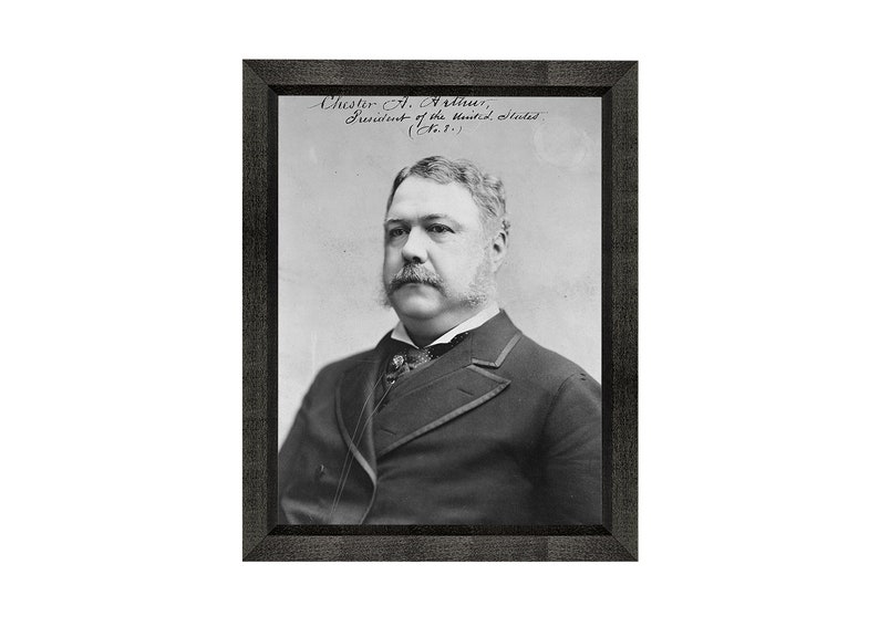 Chester A. Arthur - 1882 - Vintage Historical Photo - US President ...