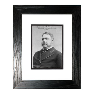 Chester A. Arthur - 1882 - Vintage Historical Photo - US President ...