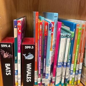 Nonfiction Dewey Shelf Labels - Etsy