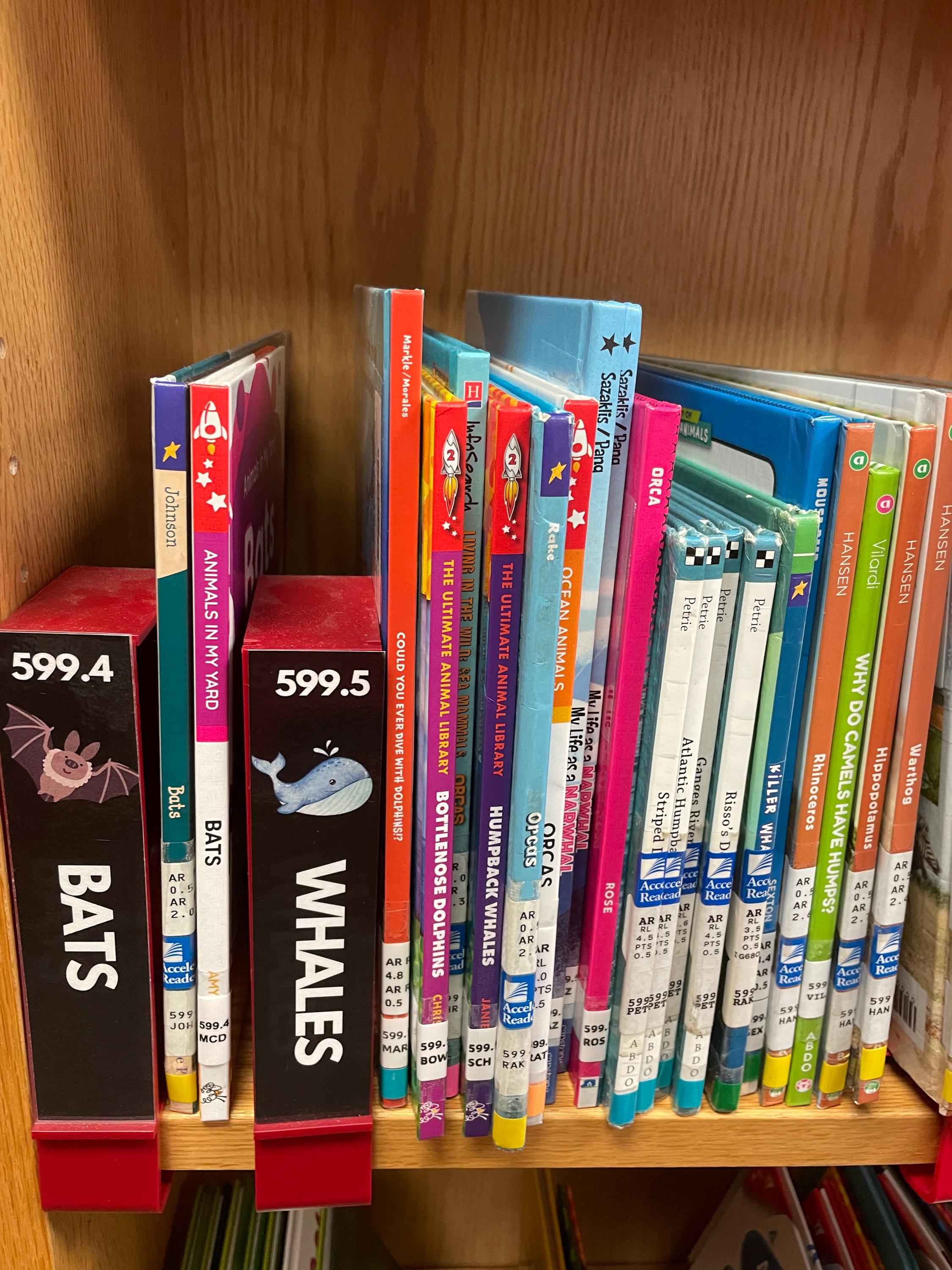 Nonfiction Dewey Shelf Labels - Etsy