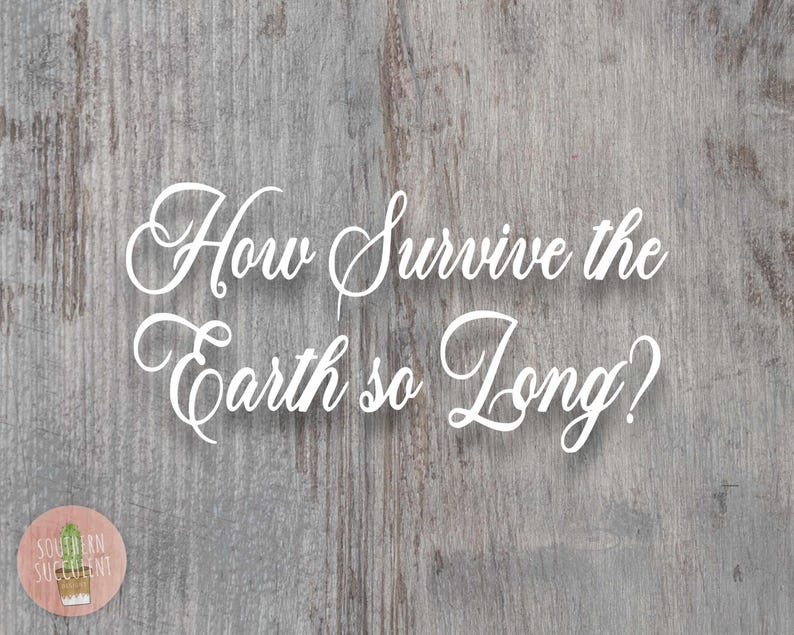 How Survive the Earth so Long? Funny Car Decal – Sassy Quote Vinyl ...