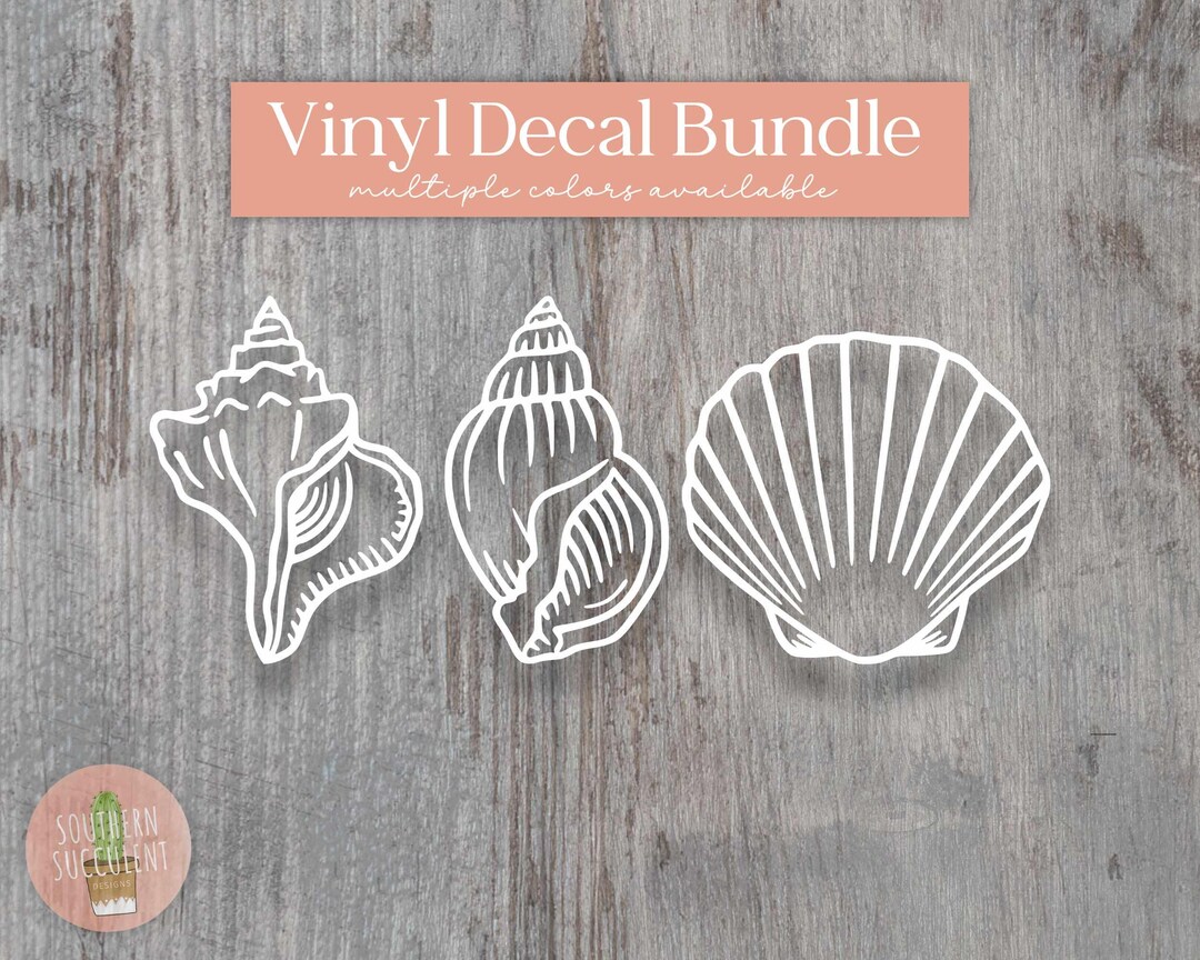 Seashell Decal Bundle - 3-pack Scallop, Conch & Whelk Shell Decals ...