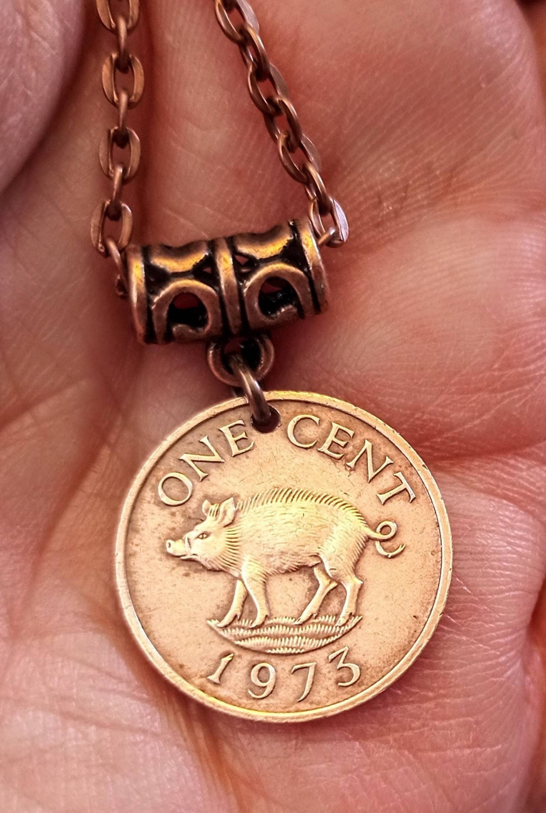 Bermuda Wild Boar Pig Bronze 3/4 Inch 1 Cent Coin Pendant Necklace 1970 ...