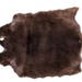 Real Nutria Pelt Animal Pelt Coypu Pelt Nutria Skin Natural Coypu Fur ...