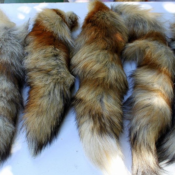 Real Fox Tails - Etsy