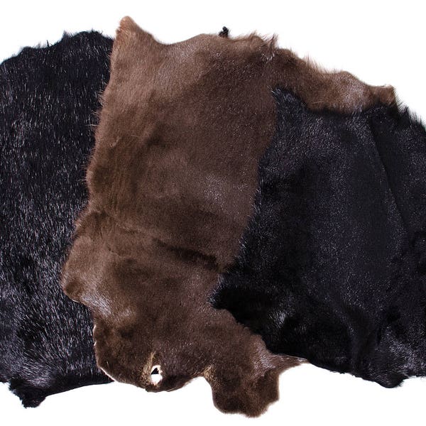 Nutria - Etsy