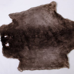Black Beaver Pelt Animal Skin Beaver Fur Soft Mount Taxidermy Cosplay ...