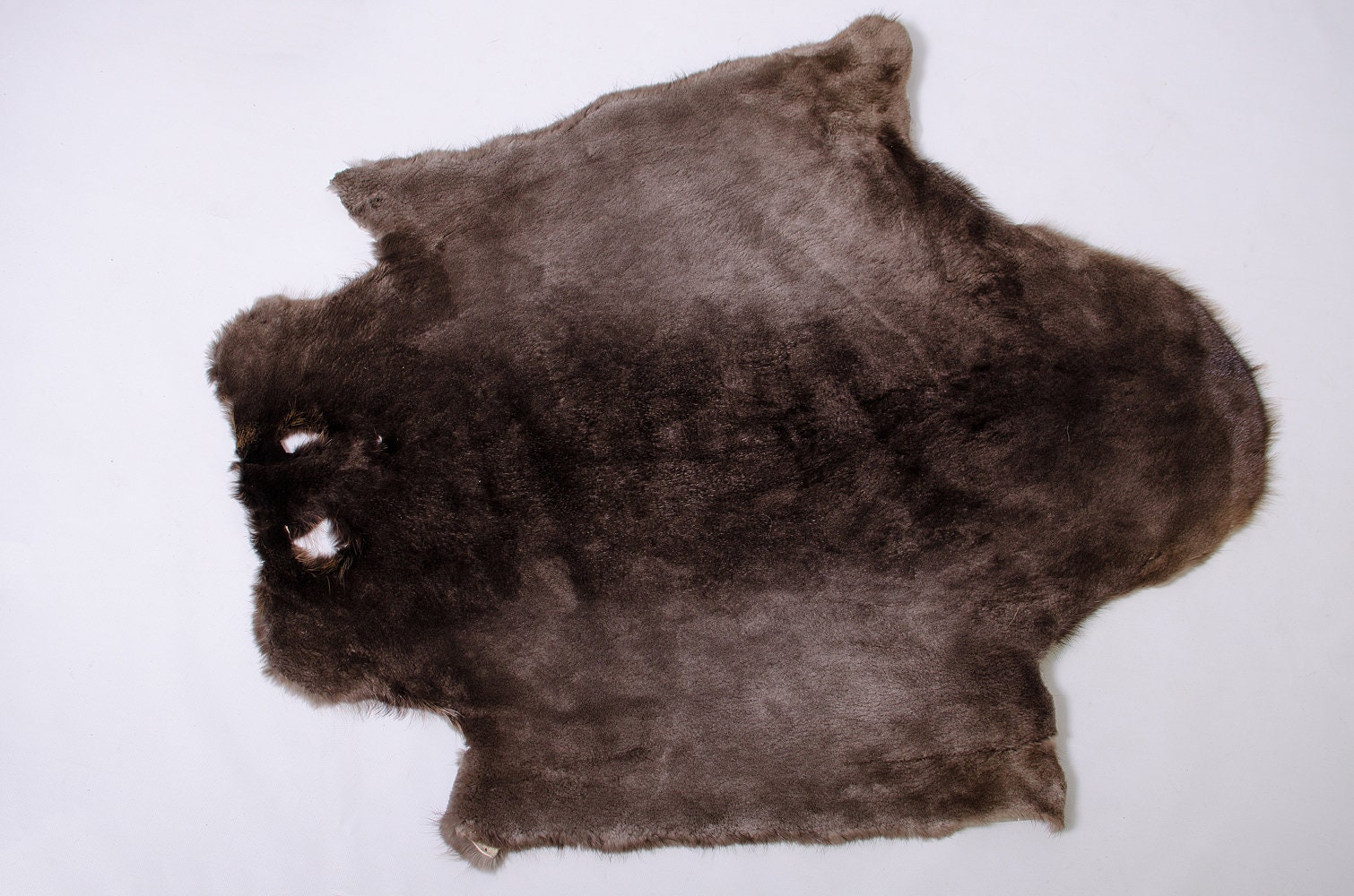 Black Beaver Pelt Animal Skin Beaver Fur Soft Mount - Etsy