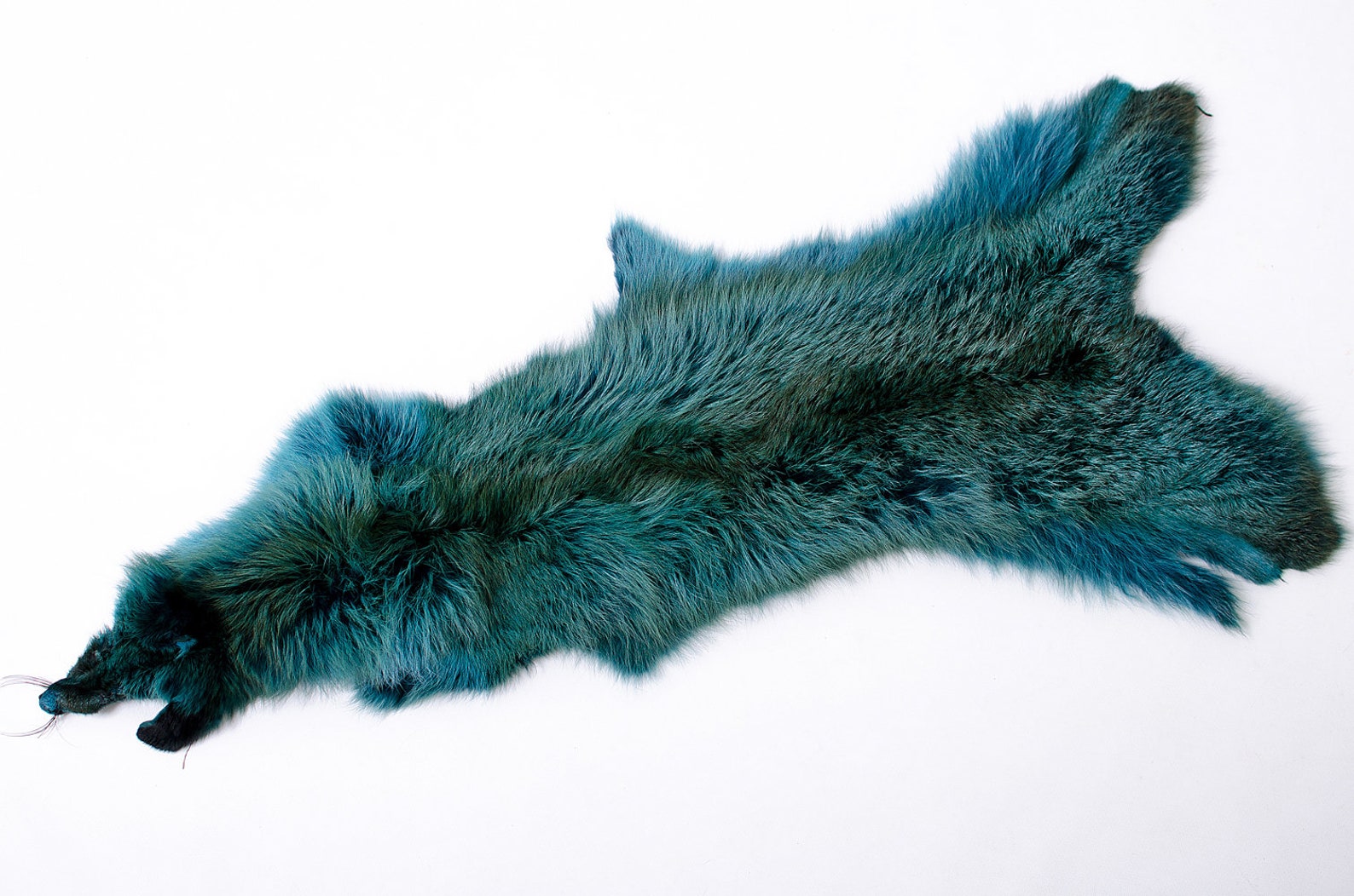 Red Fox Pelt Soft Mount Taxidermy Fox Skin Medieval - Etsy