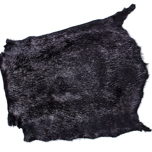 Real Nutria Pelt Animal Pelt Coypu Pelt Nutria Skin Natural Coypu Fur ...