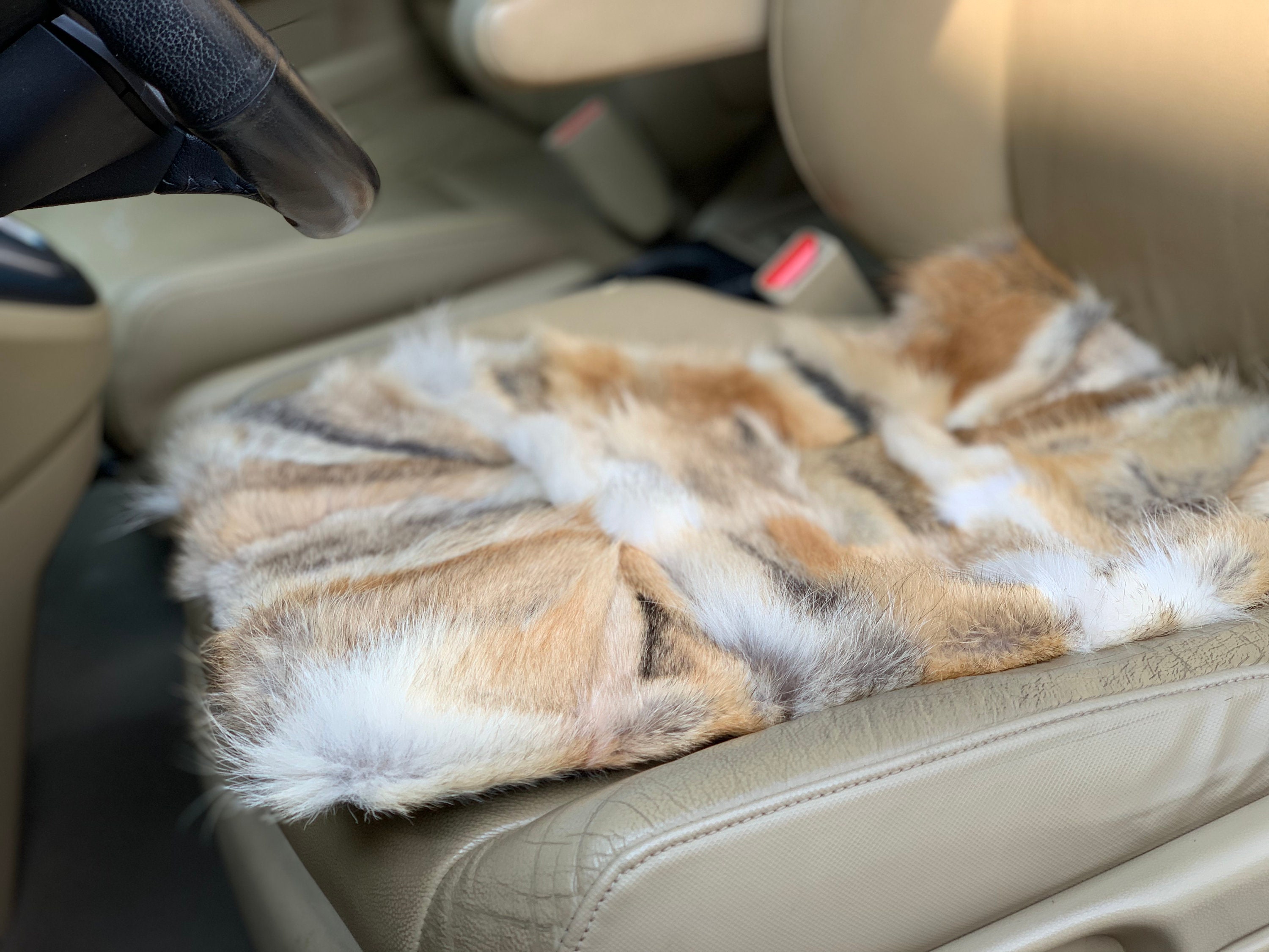 Set of 2 Fur Car Seat Cover Coyote Fur Car Seat Cushion | Etsy