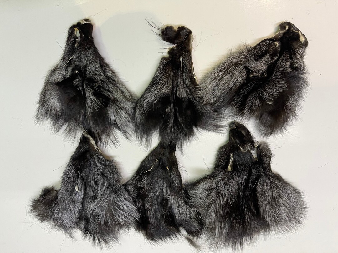 Silver Fox Face Head | Fox Face | Fox Mask | Animal Pelt | Soft Mount ...