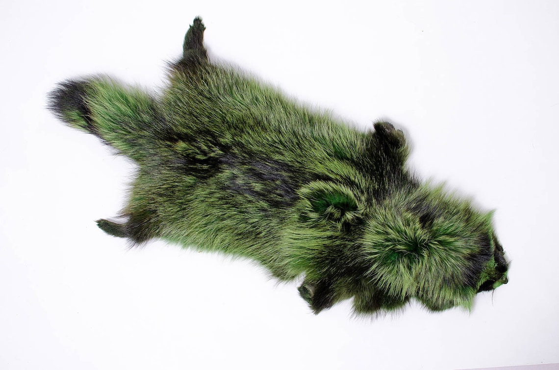 Yellow Raccoon Fur Pelt Animal pelt Taxidermy Soft Mount | Etsy