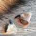 Coyote Claw Animal Claws Clew Necklace Coyote Pelt - Etsy