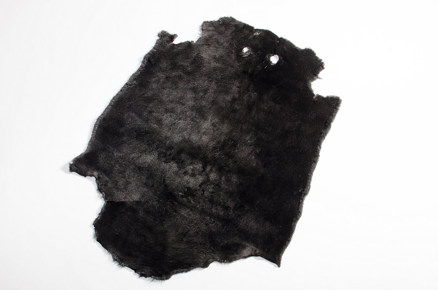 Black Beaver Pelt Animal Skin Beaver Fur Soft Mount Taxidermy Cosplay ...
