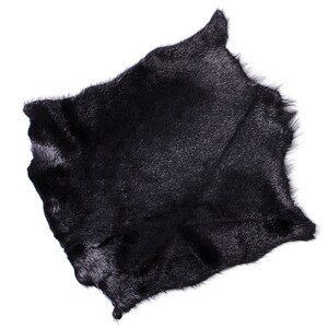 Real Nutria Pelt Animal Pelt Coypu Pelt Nutria Skin Natural Coypu Fur ...