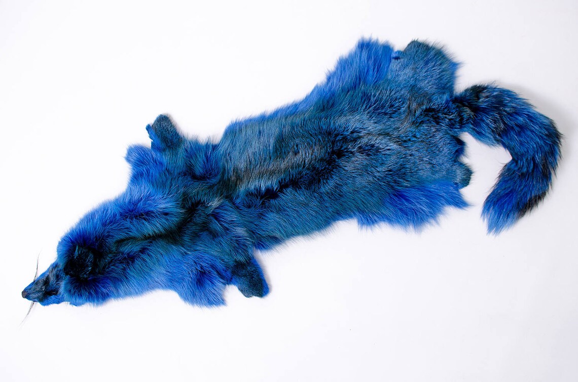 Red Fox Pelt Soft Mount Taxidermy Fox Skin Medieval - Etsy