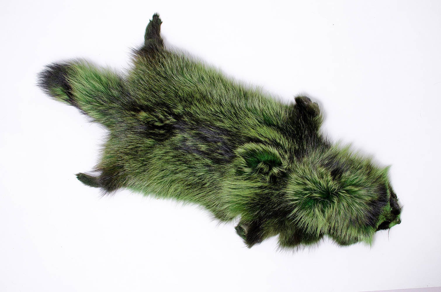 Raccoon Fur Pelt Soft Mount Taxidermy Animal Pelt | Etsy