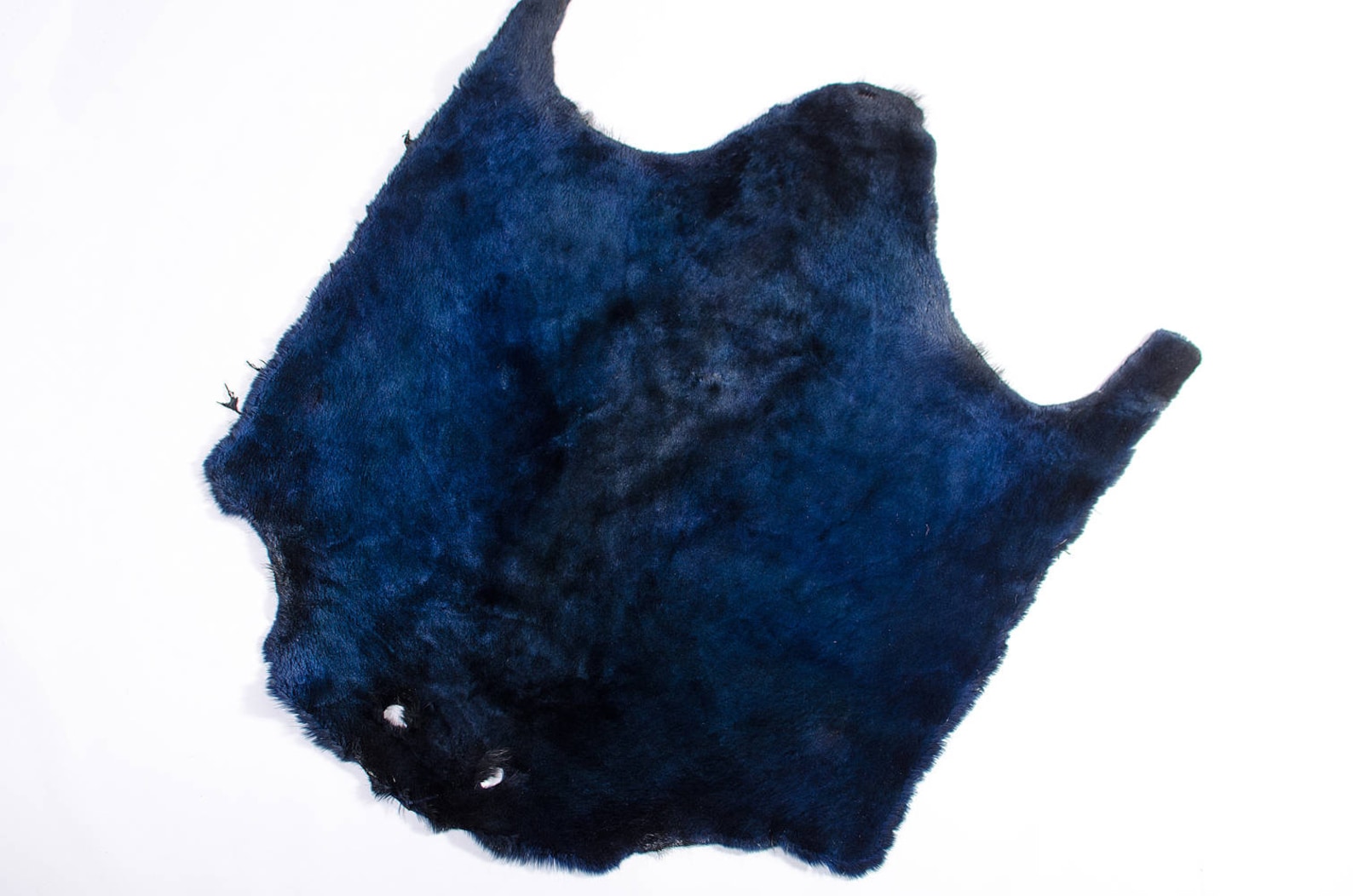Black Beaver Pelt Animal Skin Beaver Fur Soft Mount Taxidermy Cosplay ...
