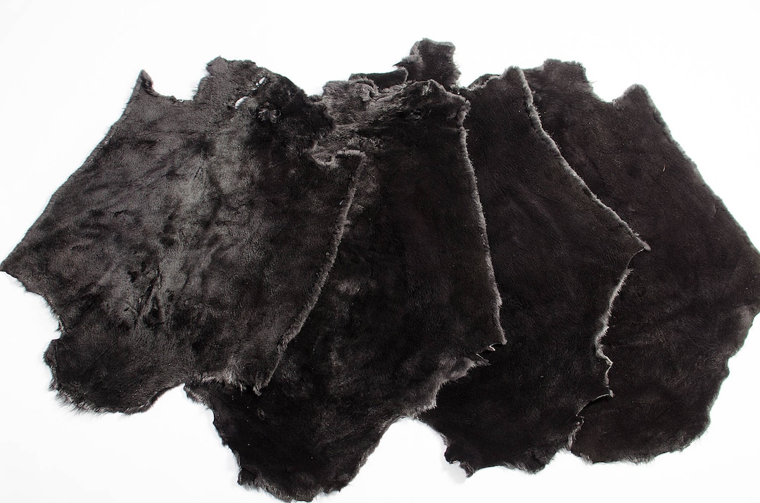 Black Beaver Pelt Animal Skin Beaver Fur Soft Mount Taxidermy Cosplay ...
