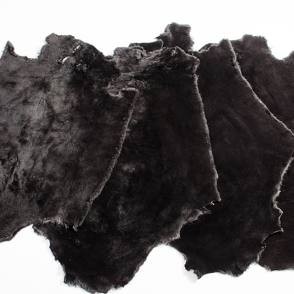 Beaver Pelt - Etsy